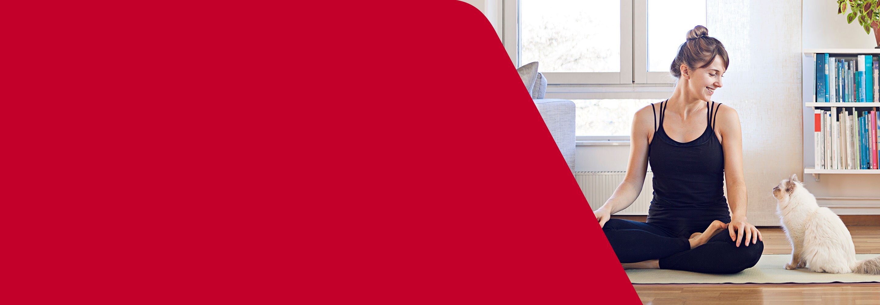 Investment Insights and Company Information | Vanguard